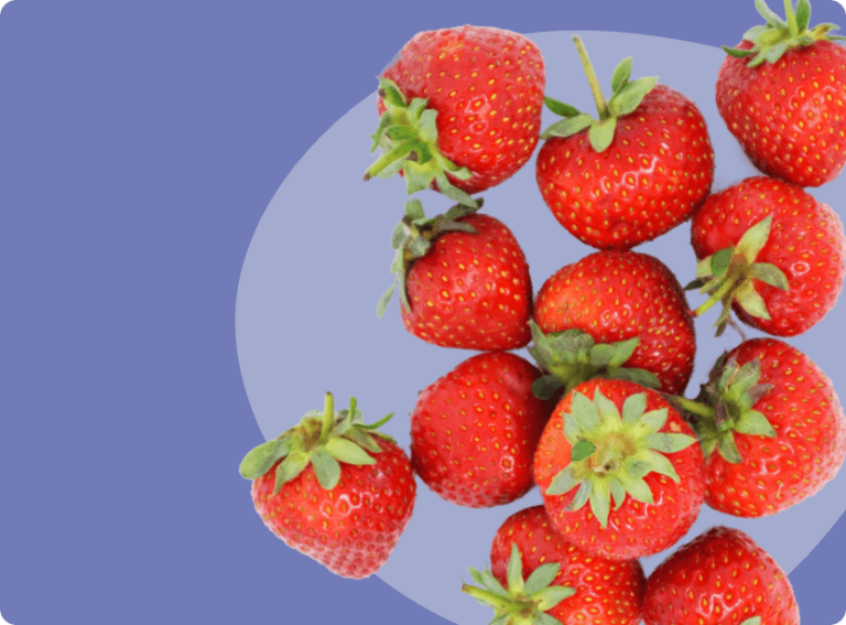 About FoodCorps: Our Mission and Vision