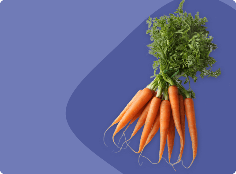 FoodCorps: Nourishing Futures For Every Student