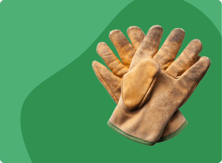 FoodCorps: Nourishing Futures For Every Student