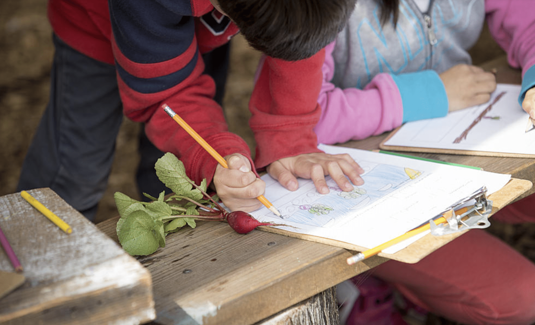 How FoodCorps Helps Kids Across the Nation Develop Healthy Eating Habits