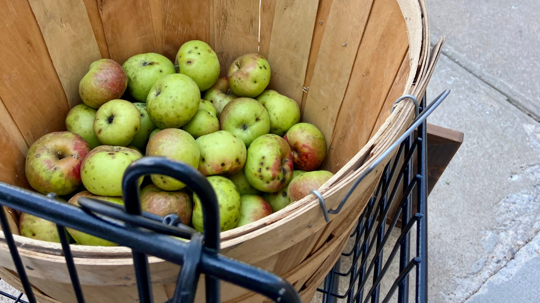 5 Delicious Kid-Friendly Fall Recipes to Cook Together